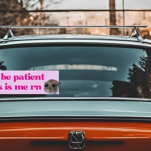 Sad Hamster Tiktok Meme Bumper Car Stickers Set of 8 Stickers Funny New ...