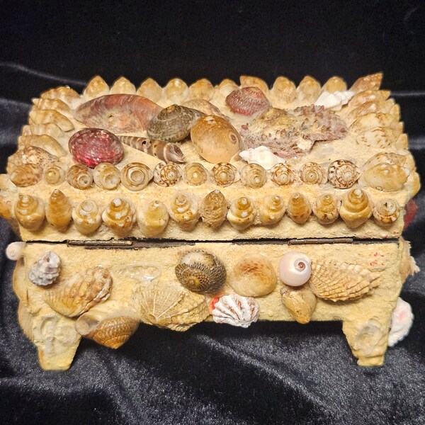 Seashell Jewelry Box - Etsy