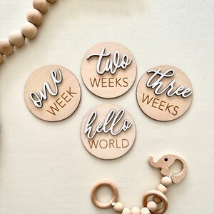 3D Wooden Monthly Milestone Discs for Baby Photos , Baby Milestone ...