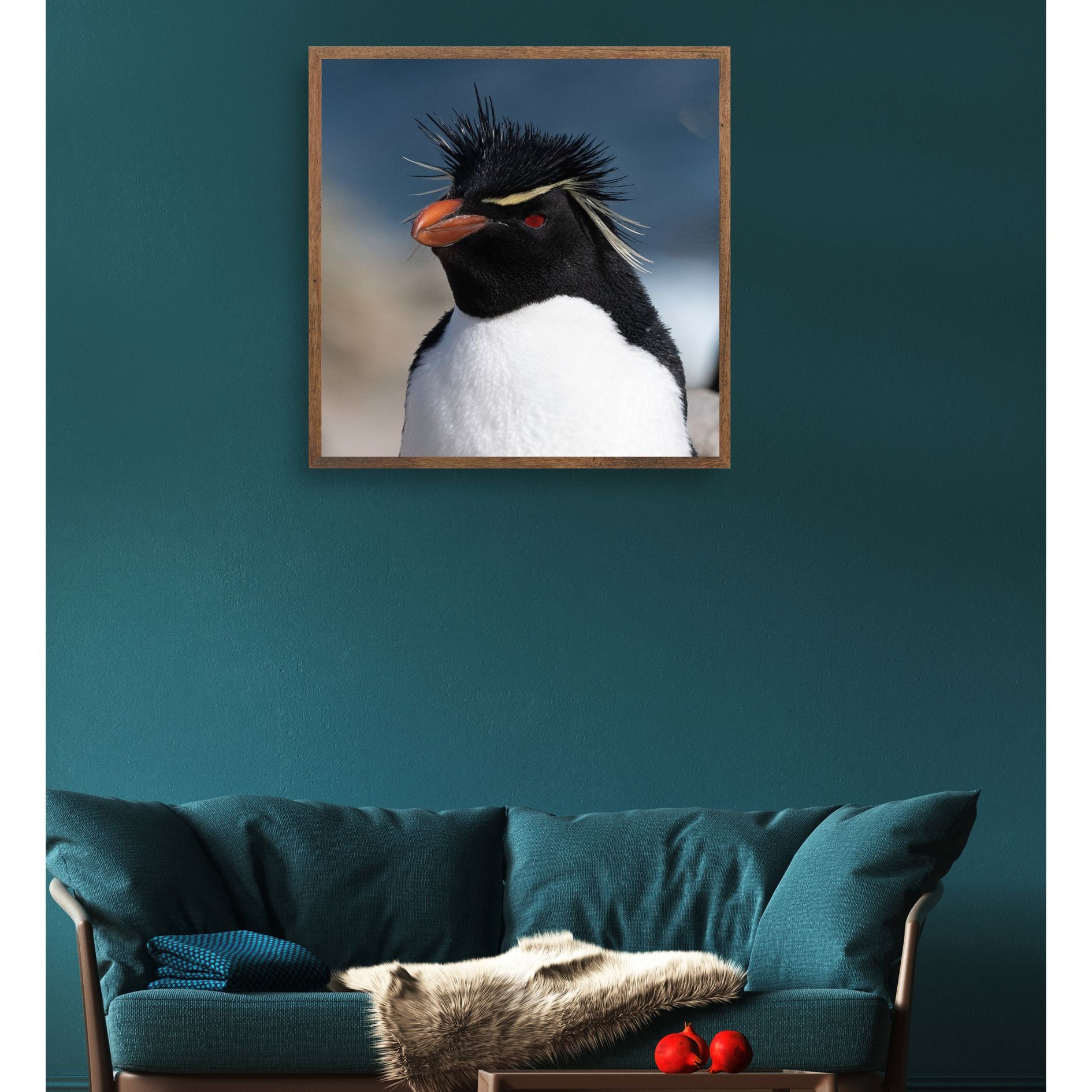 Rockhopper Penguin Frontal - Antarctica Wildlife Gift - Penguin Print ...