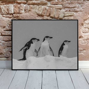 Chinstrap Penguins - Antarctica Wildlife Gift - Penguin Print - Digital ...