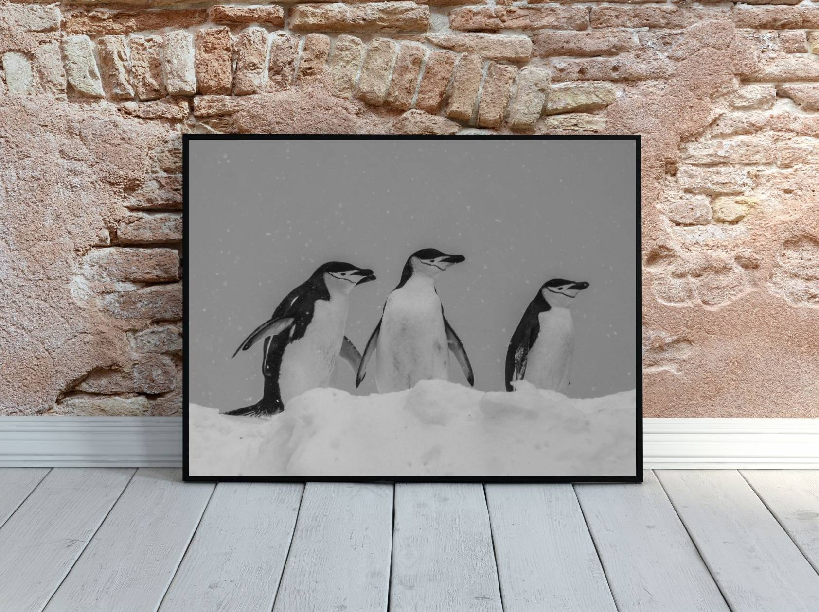 Chinstrap Penguins - Antarctica Wildlife Gift - Penguin Print - Digital ...