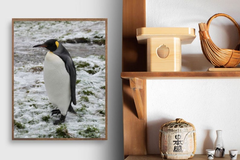 King Penguin Antarctica Wildlife Gift Penguin Print Digital Printable ...