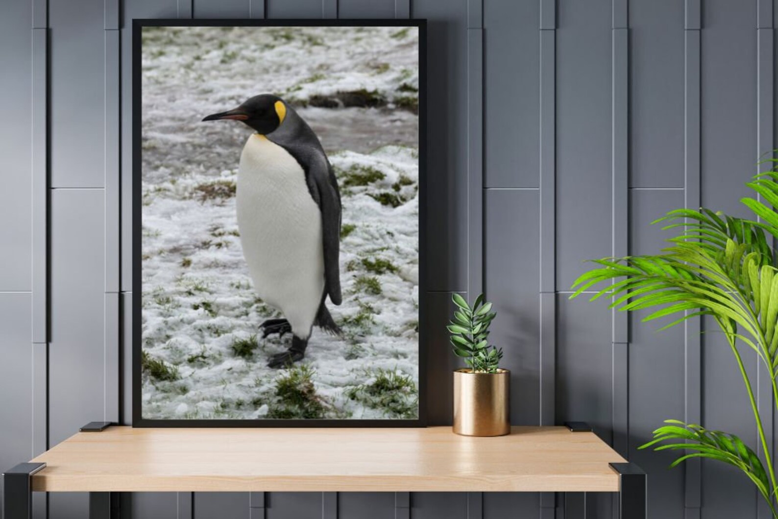 King Penguin - Antarctica Wildlife Gift - Penguin Print - Digital ...