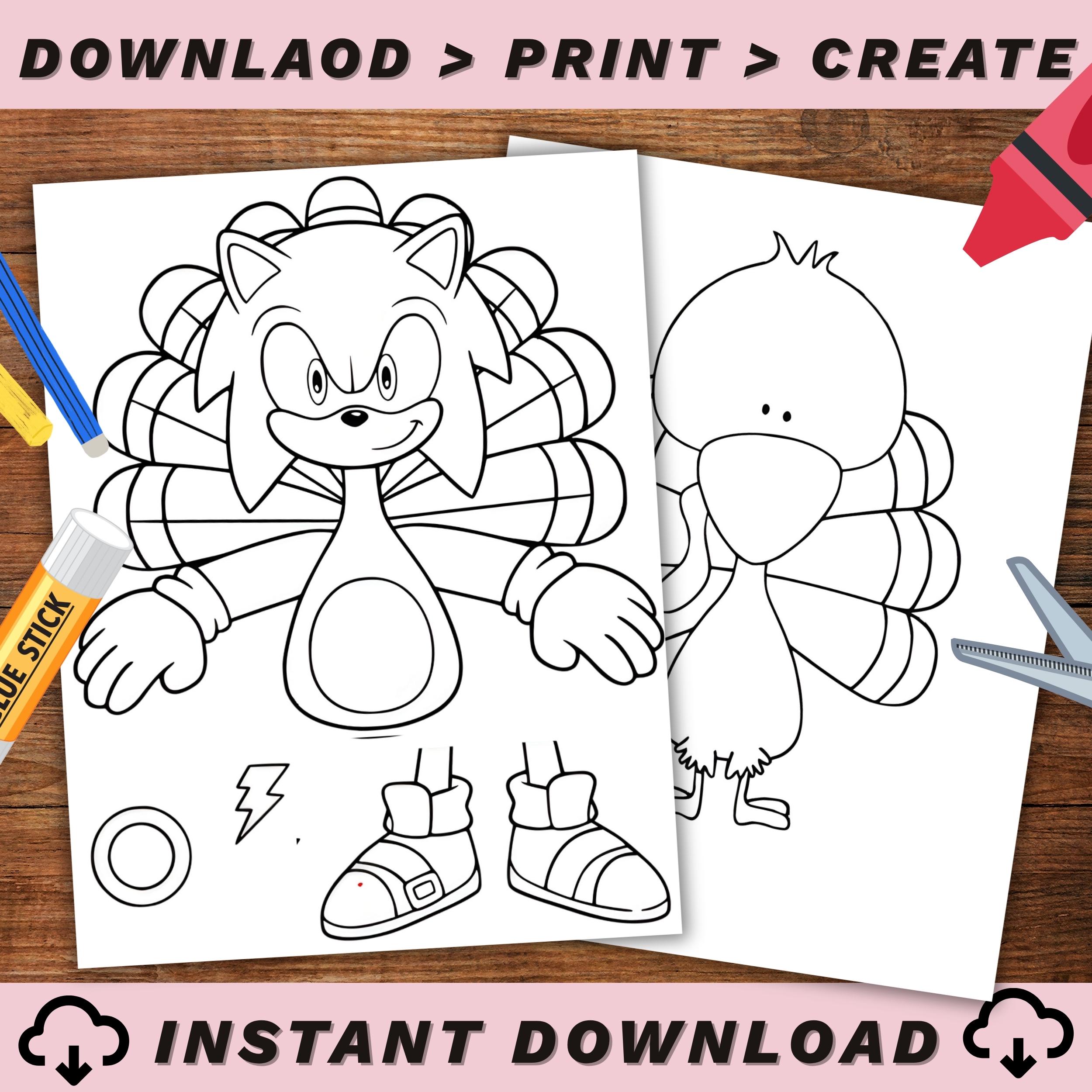 Disguise a Turkey Project Kit | Sonic Turkey Disguise | Kids ...