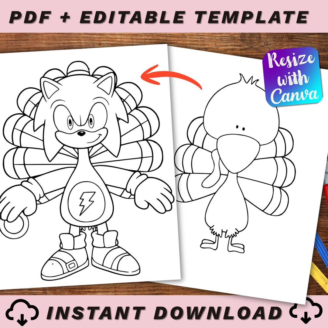 Disguise a Turkey Project Kit | Sonic Turkey Disguise | Kids ...