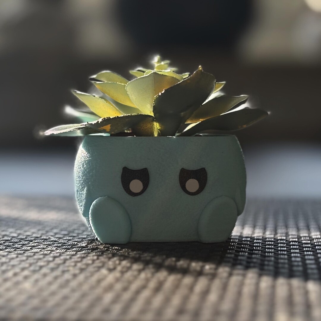 Sad Flower Pot, Cute Colorful Planter With Expression for Your Favorite ...