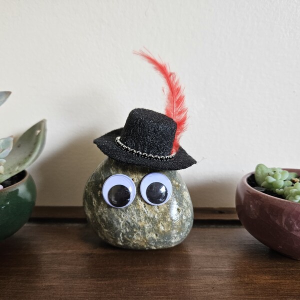 Pet Rock - Etsy