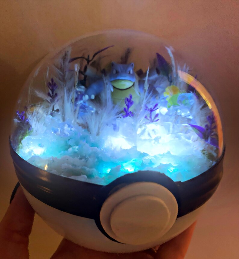 Blastoise Pokémon Beach Terrarium , Light up Poke Ball , Birthday Gift ...