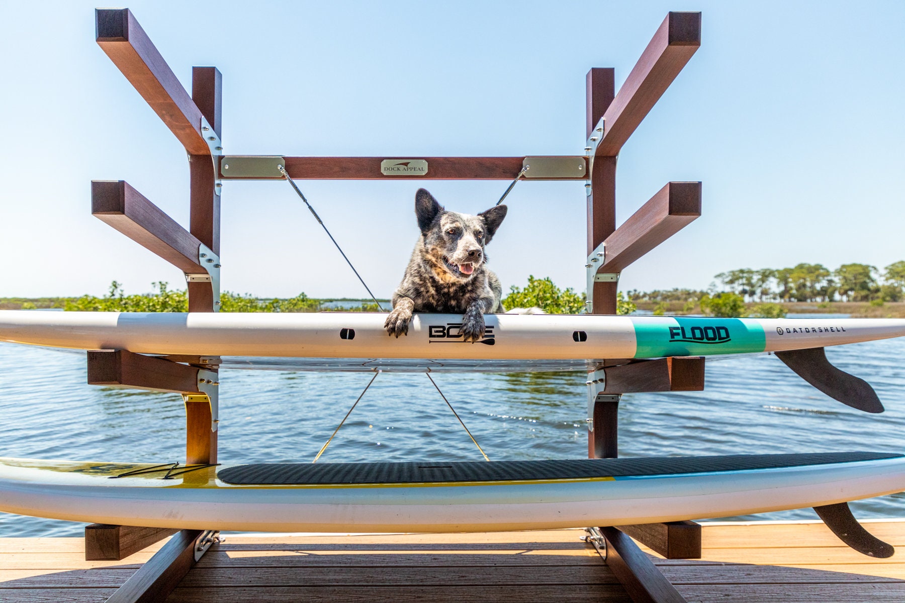 The Bimini Custom Board and Kayak Rack - Etsy