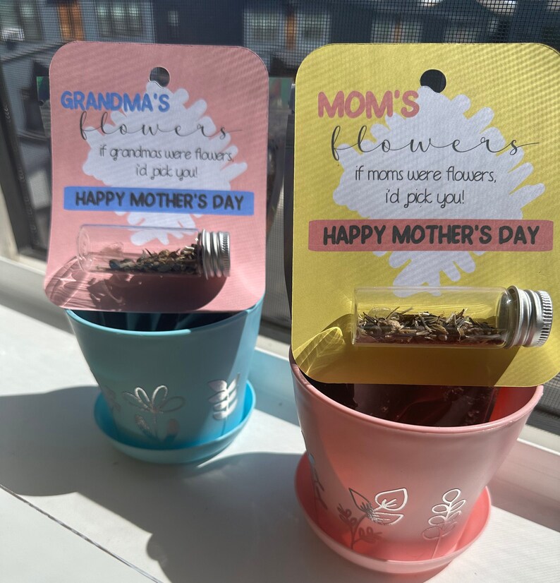 Mother’s Day Flower Pots-flower Seeds and Soil Included - Etsy