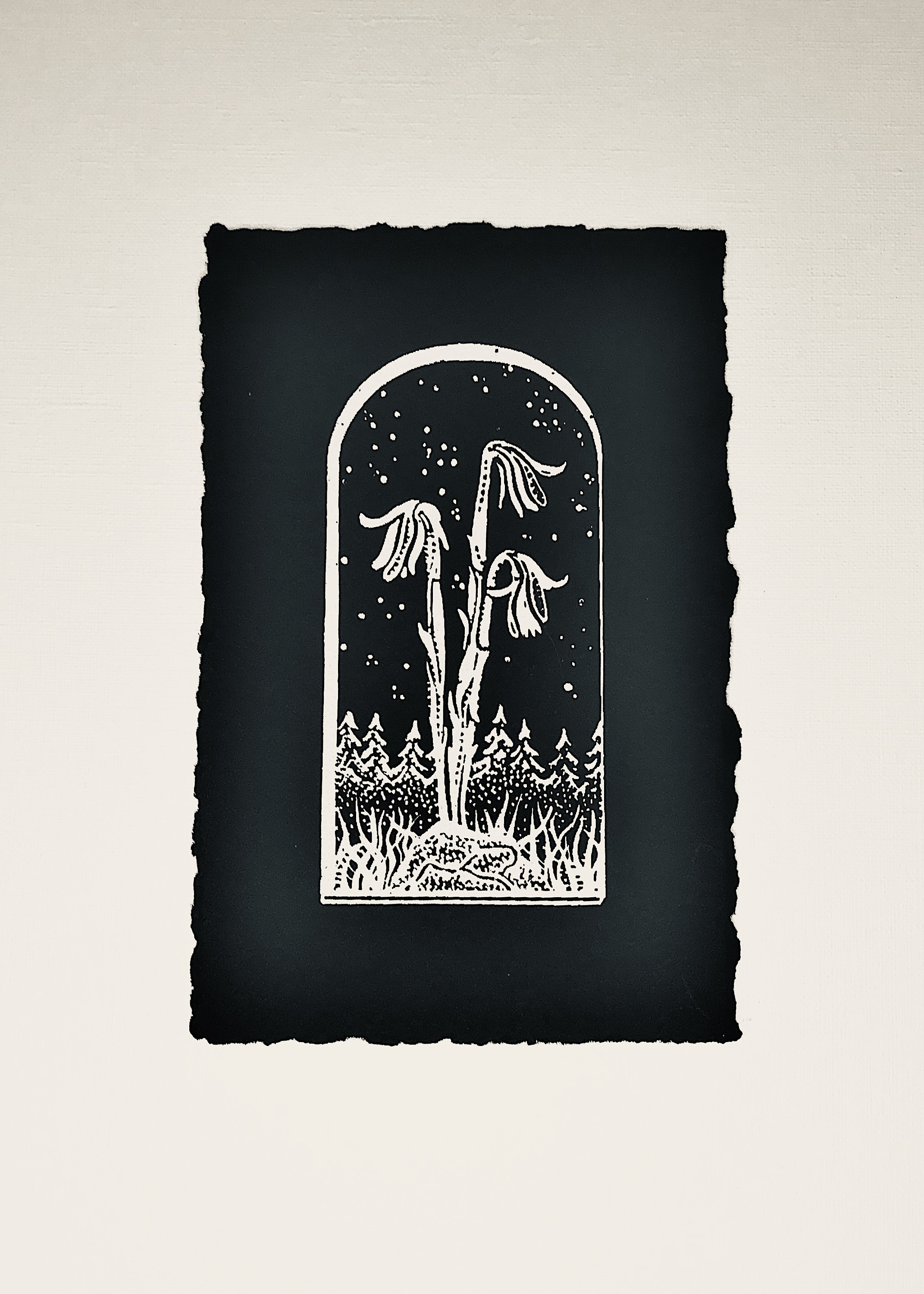 Ghost Pipes Art Print Screenprint Mushrooms Flowers Black and White 5x7 ...