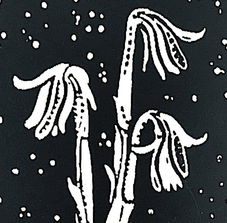 Ghost Pipes Art Print Screenprint Mushrooms Flowers Black and White 5x7 ...