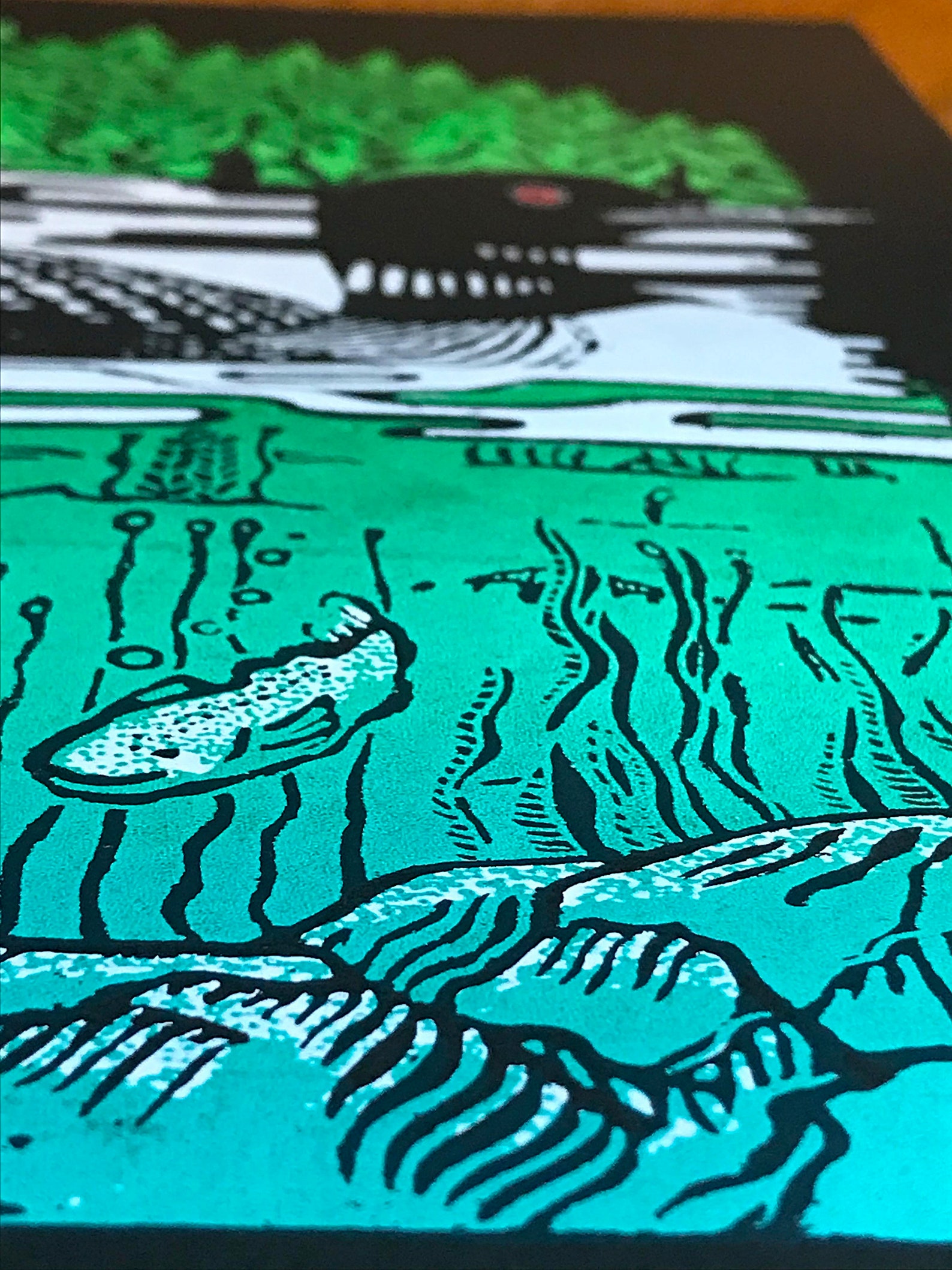 Loon Poster Screenprint - Etsy