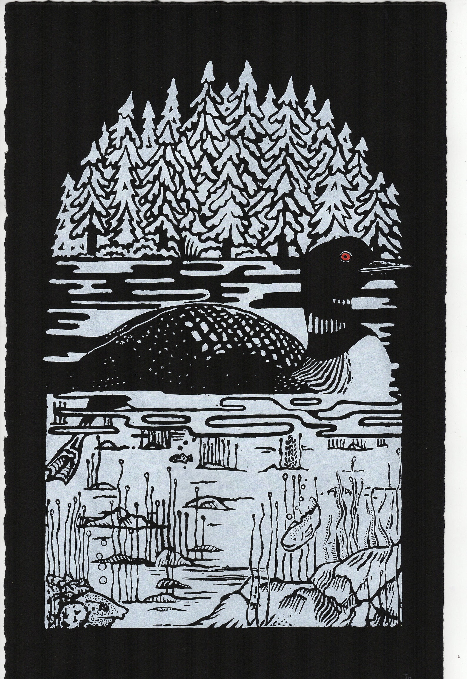 Loon Poster Screenprint - Etsy