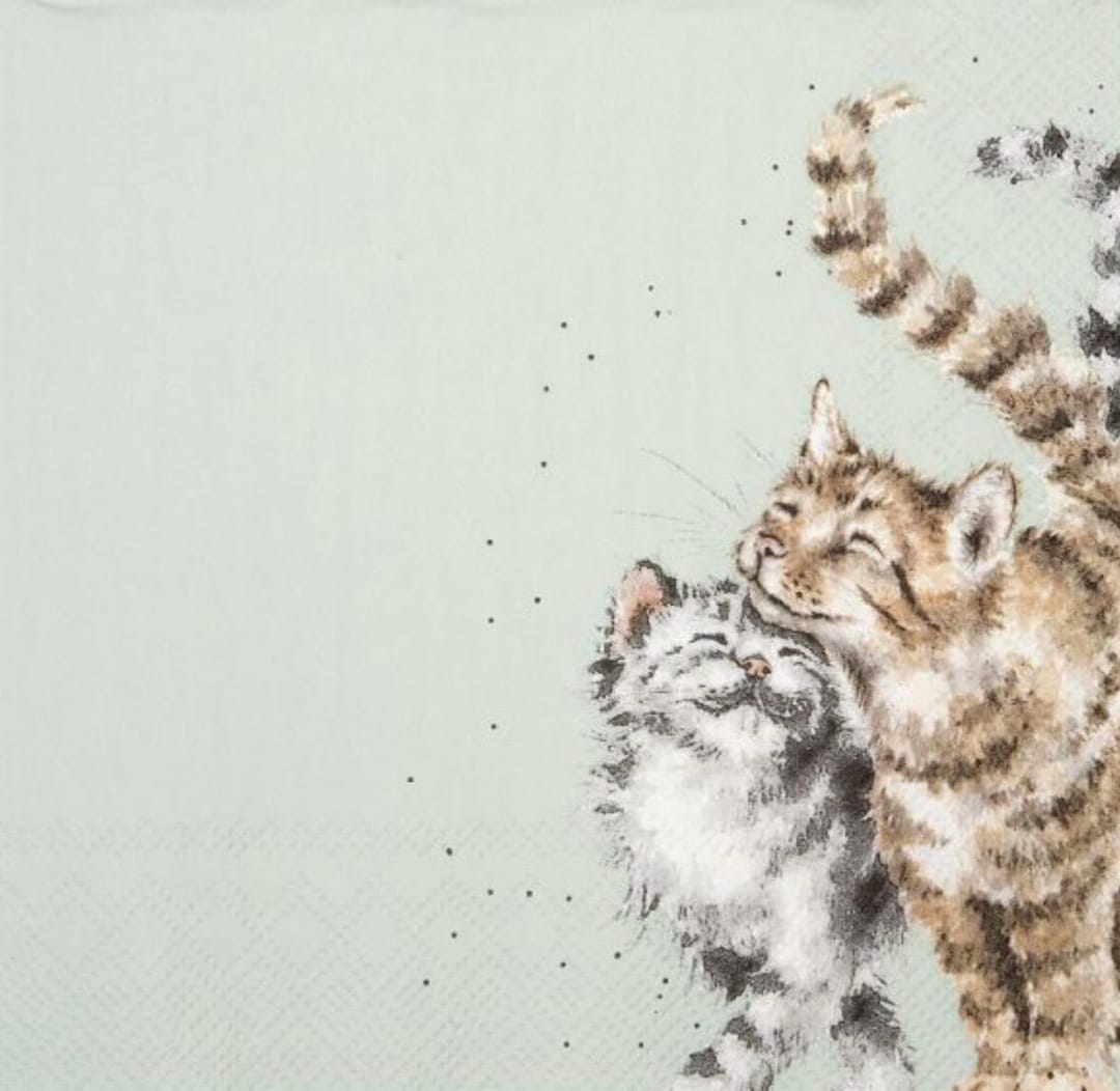Wrendale Designs feline Good Cat Style Decoupage Napkins. Set of 4 ...