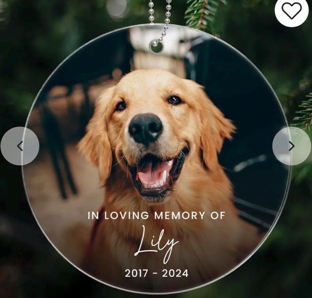 Custom Forever Loved Dog Cat Ornament, Dog Cat Remembrance Gift ...