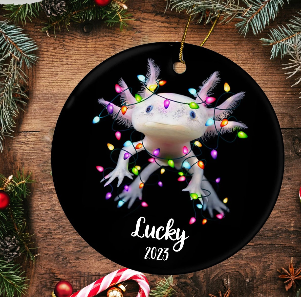 Personalized Axolotl Acrylic Ornament, Xmas Tree Hanging, Gift for Kid ...