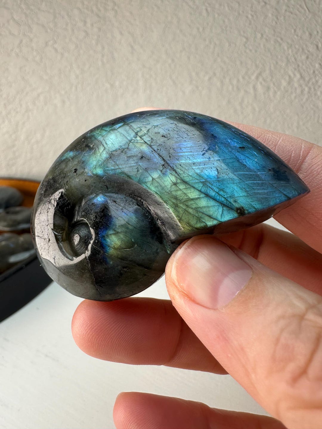 Labradorite Shell Fossil Carving: Electric Blue Crystal Decor - Etsy