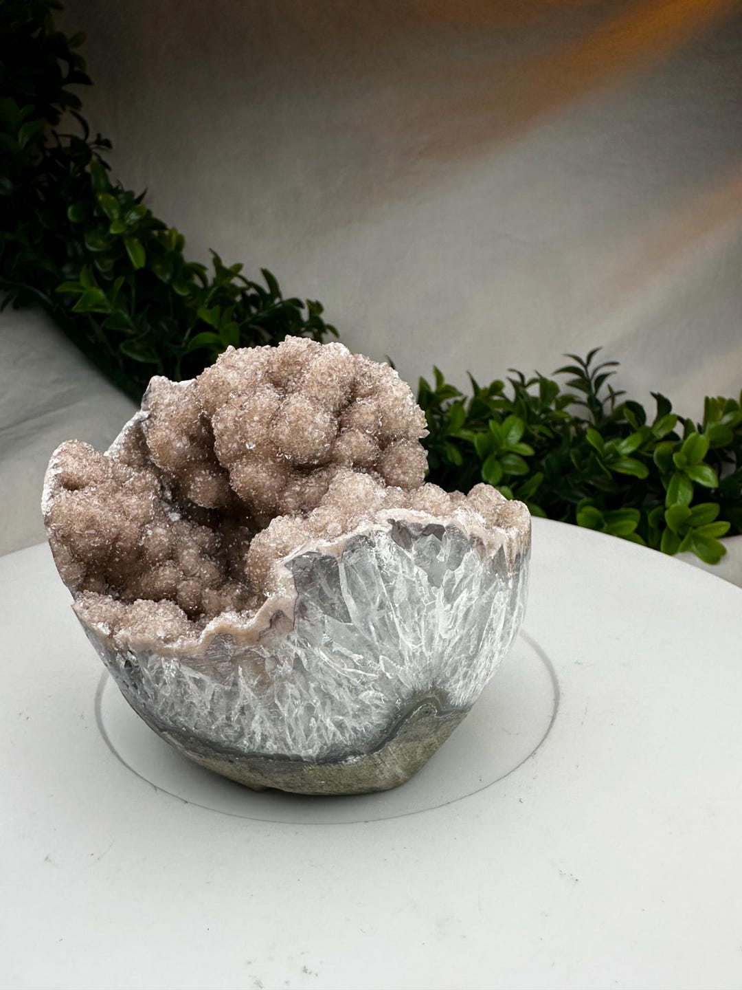 Dusty Rose Amethyst Geode: Botryoidal Druzy & Rainbow Quartz Collector ...
