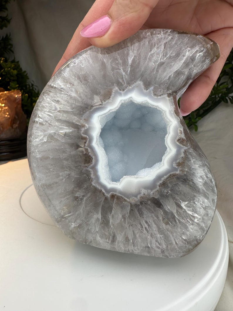 Brazilian Agate Geode Pair: Powder Blue Sugar Druzy, Natural Decor - Etsy