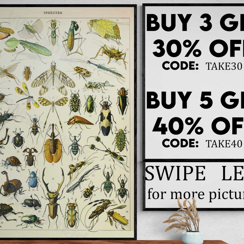 Insect Poster - Etsy