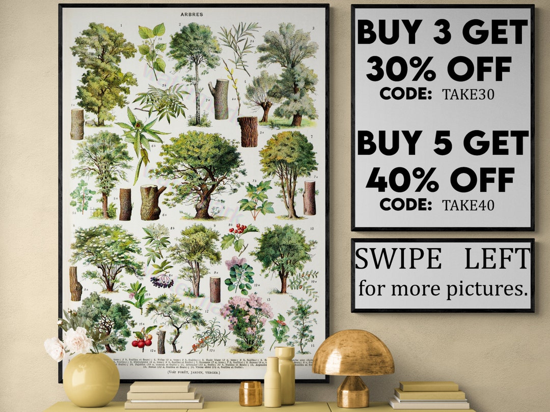 Vintage Tree Print, Tree Species Wall Art, Trees Print Vintage, Trees ...