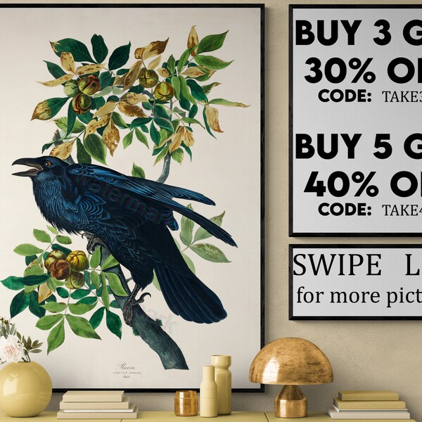 Antique Raven Poster - Etsy
