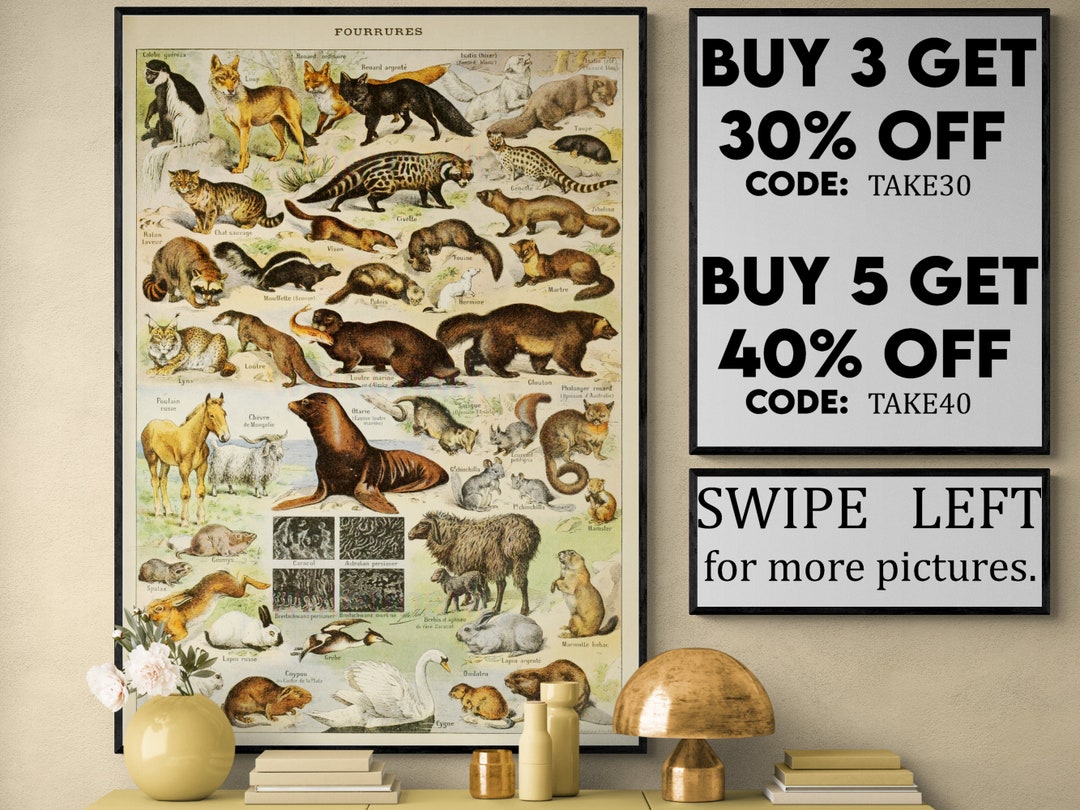 Vintage Animal Print, Wild Animals, Wild Nature, Animal Poster Art ...