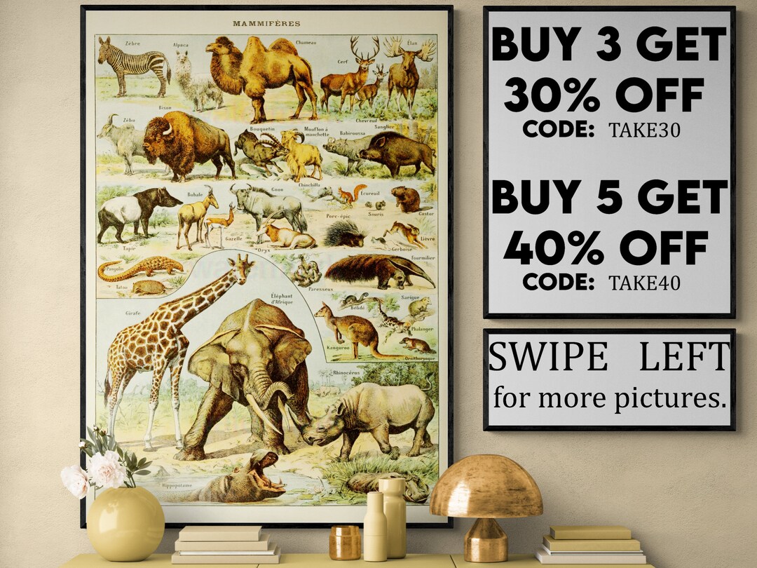 Vintage Animal Print, Animal Poster Art, Mammals Chart Print ...