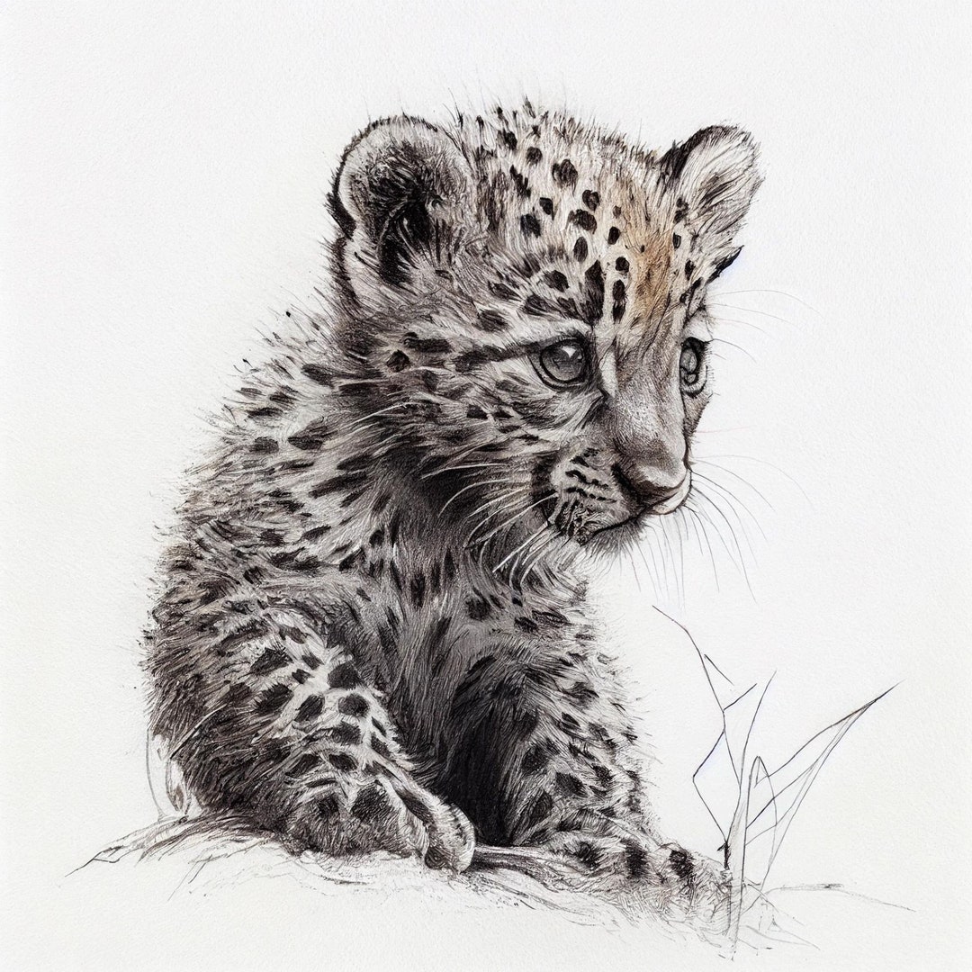 Leopard Cub, Baby Leopard, Animal Print, Art, Wall Art, Safari Print ...