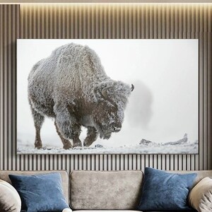 American Buffalo,in Snow,original Pictures,buffalo Wall Art,buffalo ...