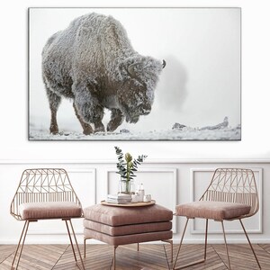 American Buffalo,in Snow,original Pictures,buffalo Wall Art,buffalo ...
