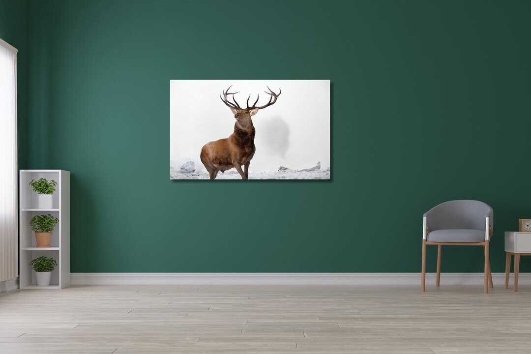 Monarch Of, the Glen, Edwin Landseer, Monarch Decor, Monarch in the ...