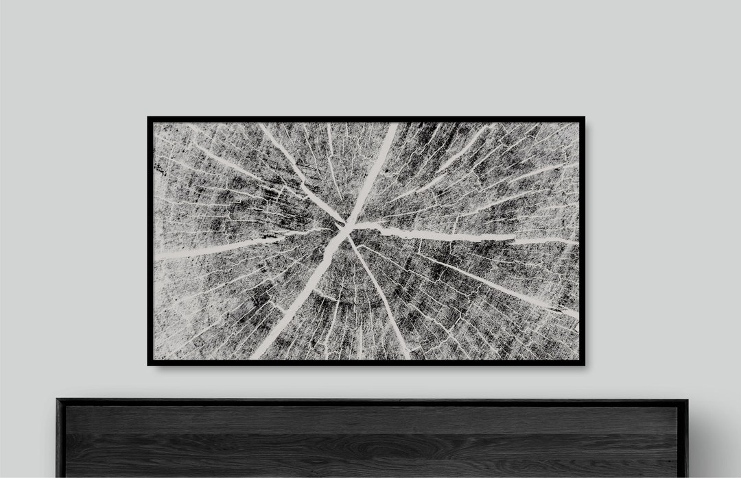 Samsung Frame TV Art, Modern Black and White Texture ,tree Rings ...