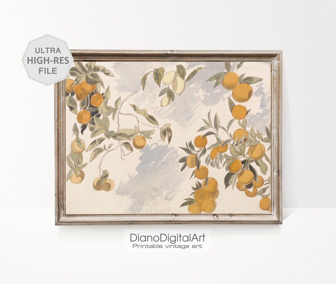 Vintage Orange Tree Print, Watercolor Spanish Kitchen Decor, Digital ...