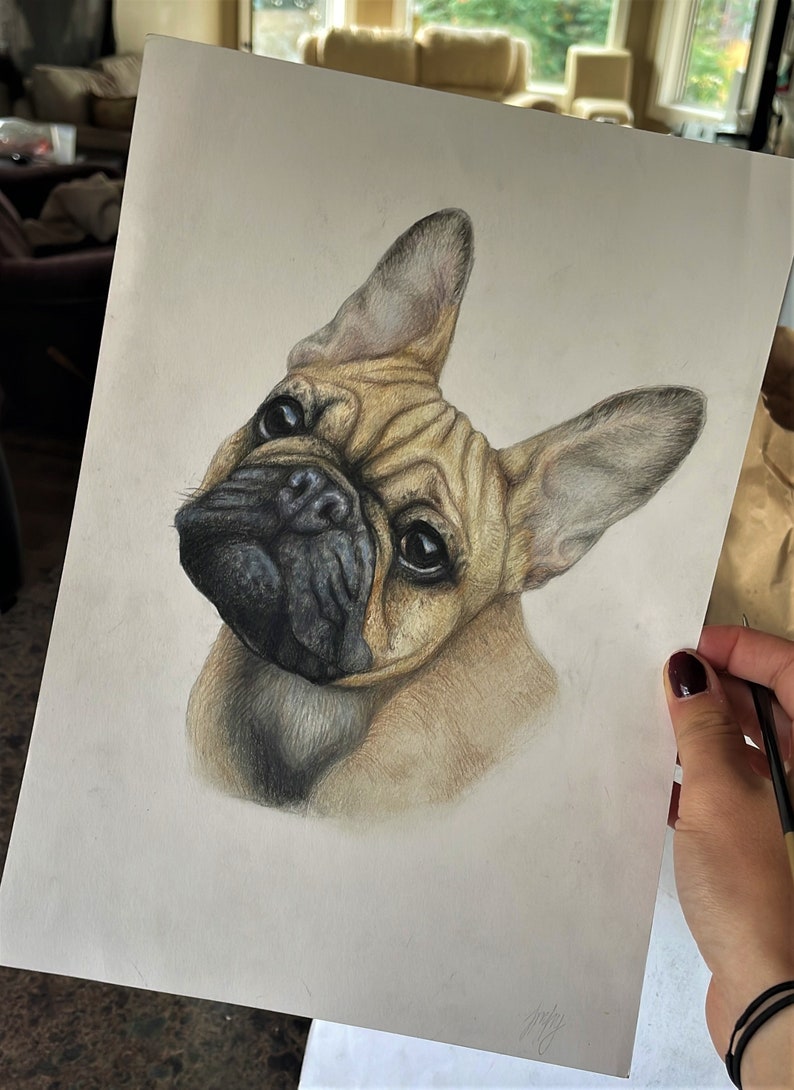 Custom Wildlife Drawing Beautiful Hand Drawn Colour Pencil - Etsy