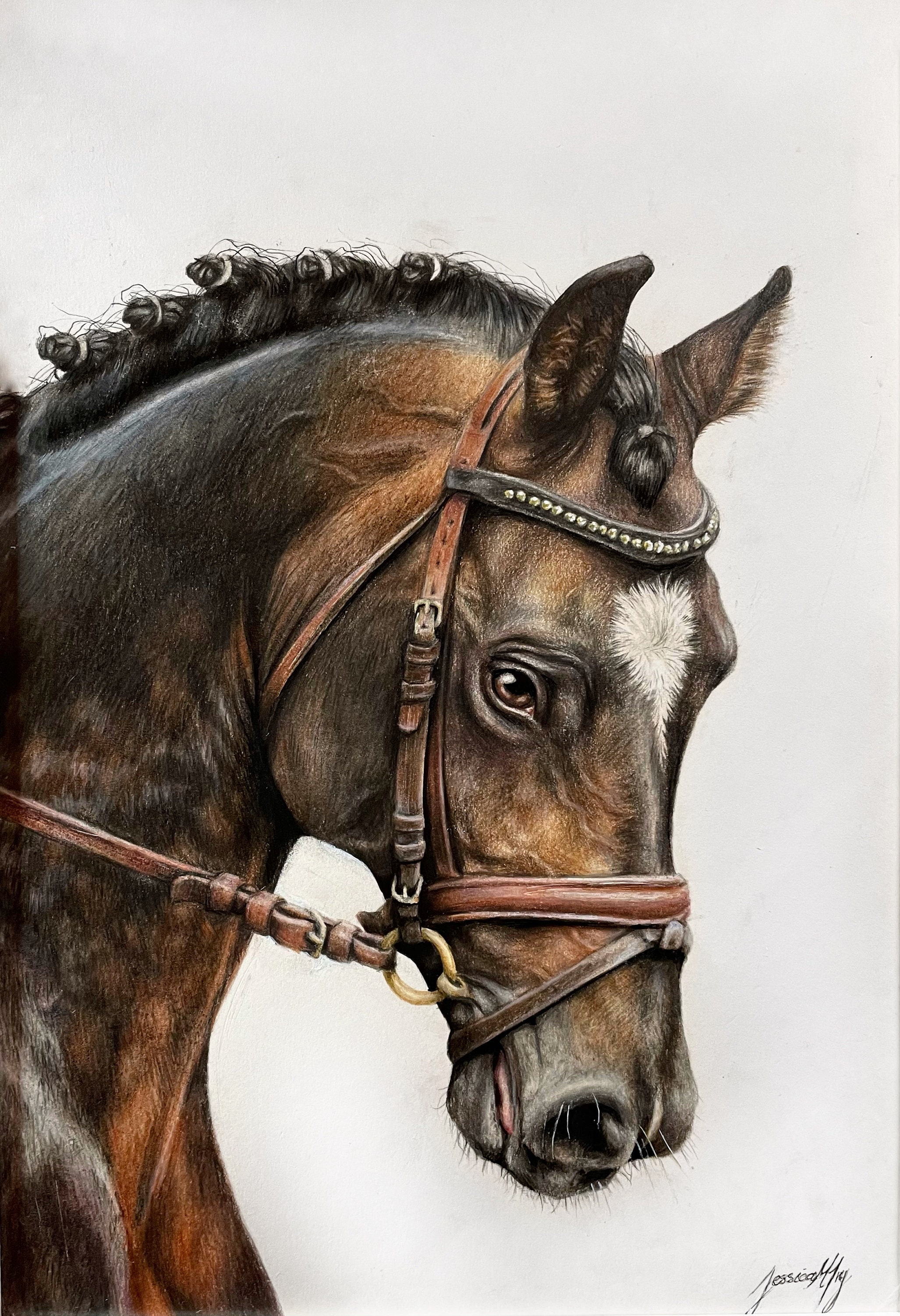 How To Draw A Realistic Horse Face