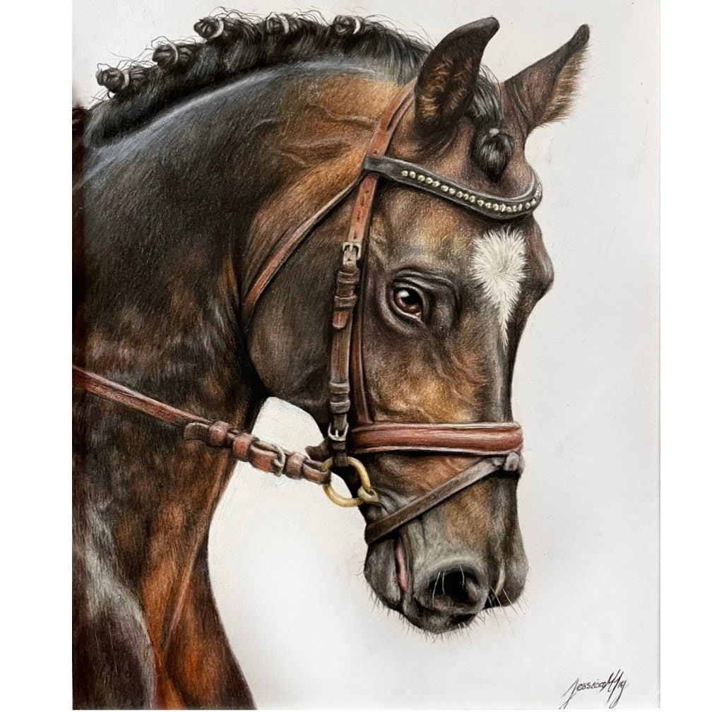 Custom Wildlife Drawing Beautiful Hand Drawn, Colour Pencil, Realistic ...