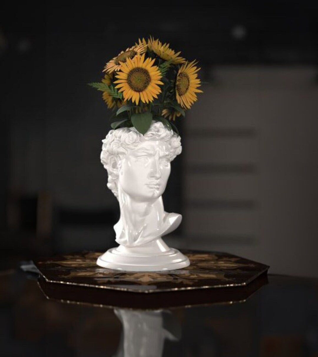David Bust Planter Pot for Plants, Greek Plant Pot, David's Head ...