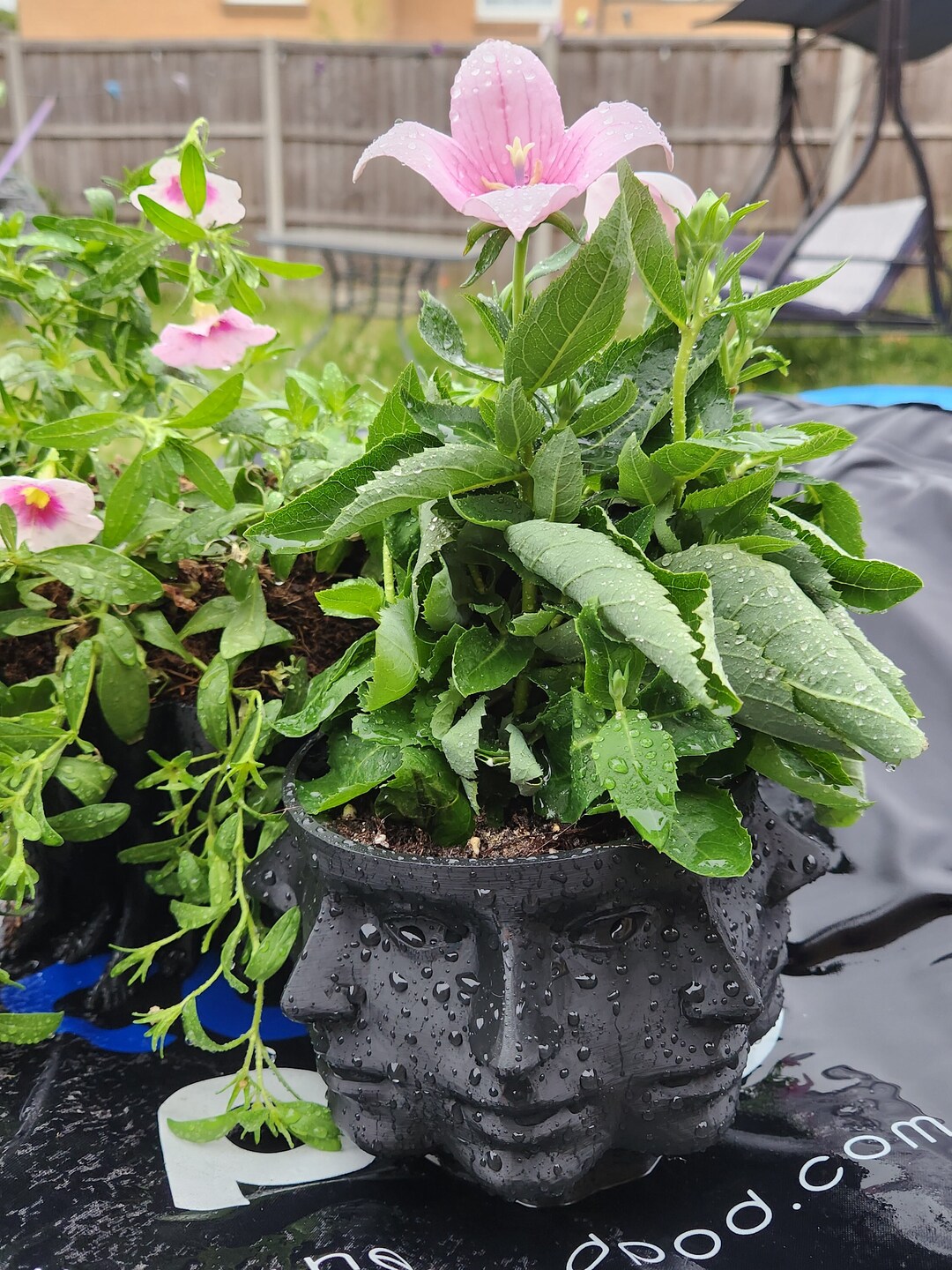 Multi Face Planter Indoor Planter Gift Unique Plant Pot - Etsy