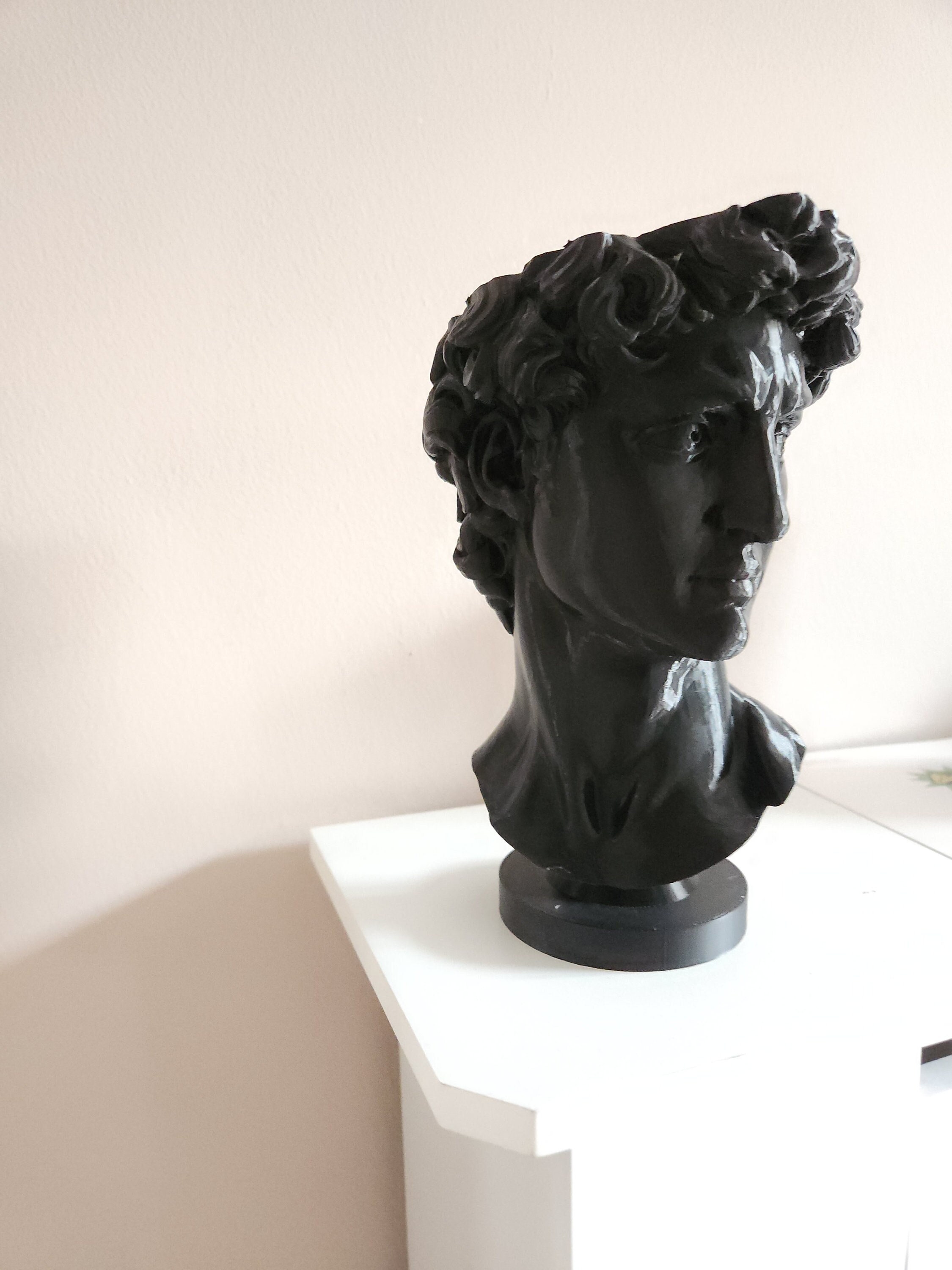David Bust Planter Pot for Plants, Greek Plant Pot, David's Head ...