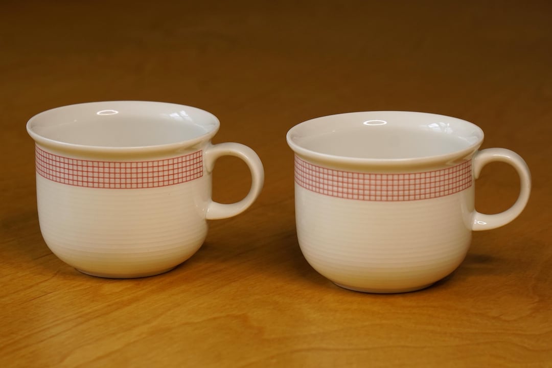 Elegant Thomas Trend Coffee Cups – Set of 2 | German Porcelain | 200 Ml ...