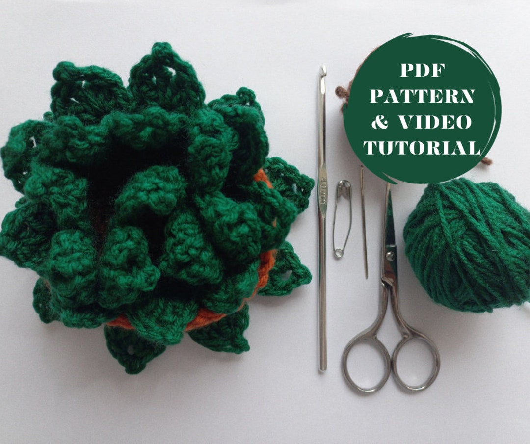 Succulent Crochet Coaster PDF Pattern - Etsy