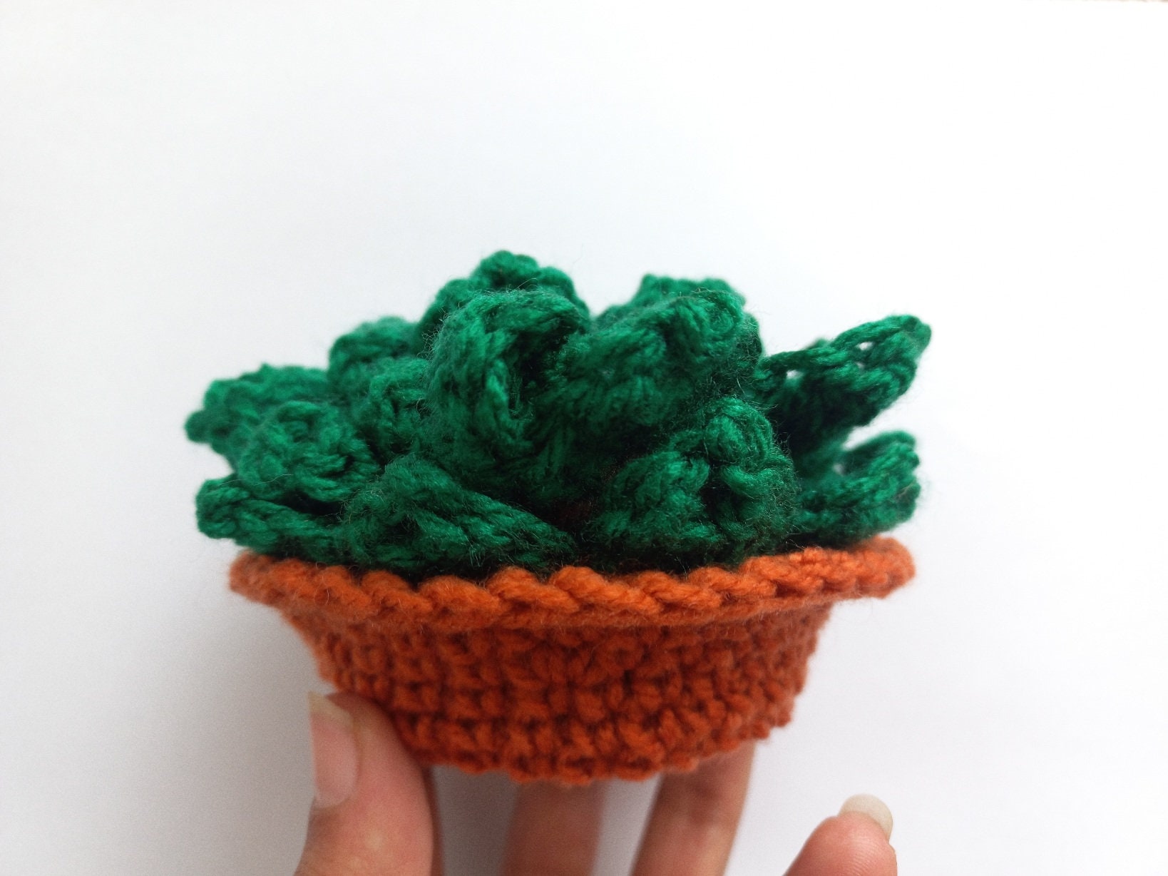 Succulent Crochet Coaster PDF Pattern - Etsy