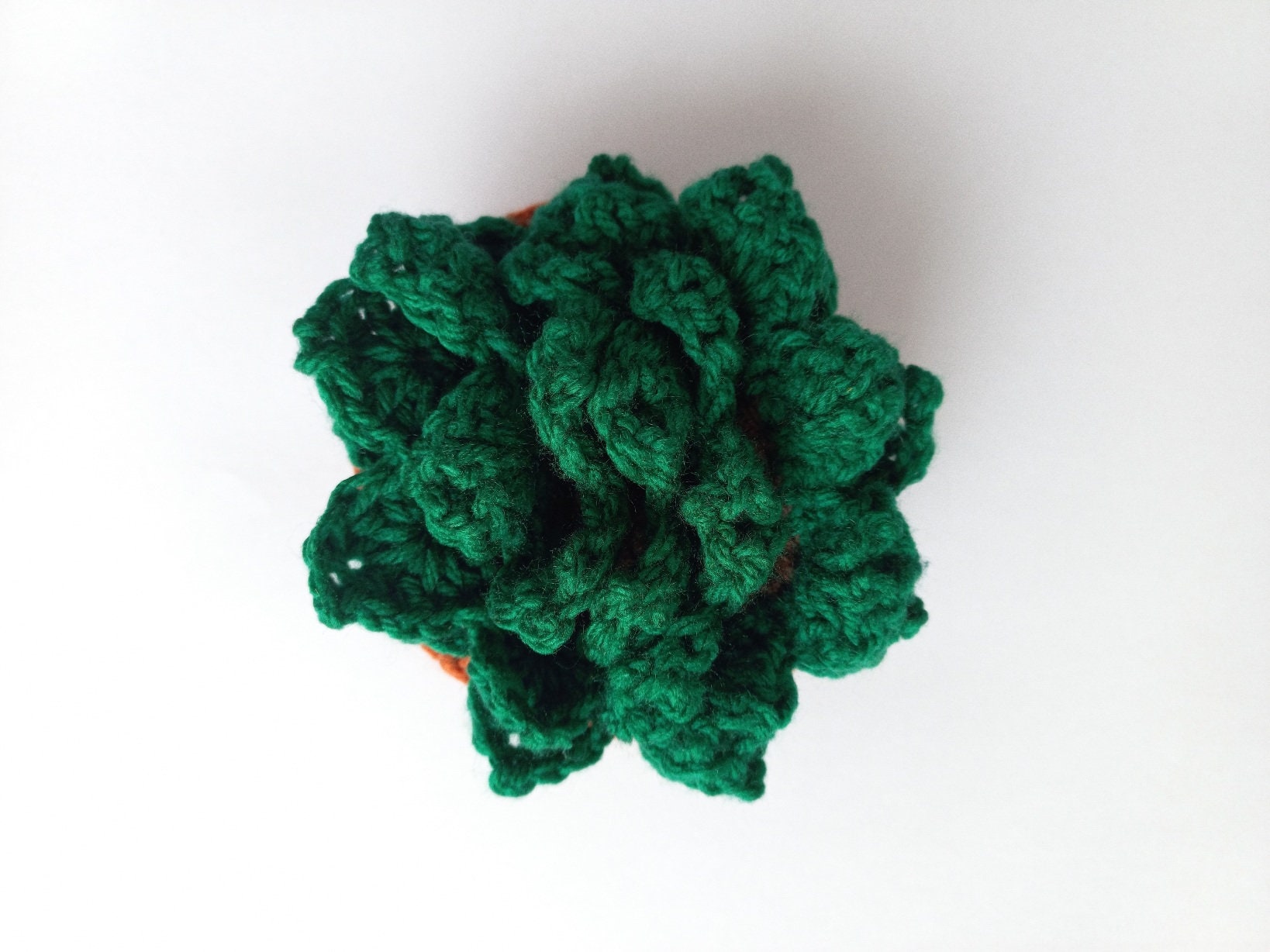 Succulent Crochet Coaster PDF Pattern - Etsy