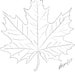 Maple Leaf Line Drawing - Etsy