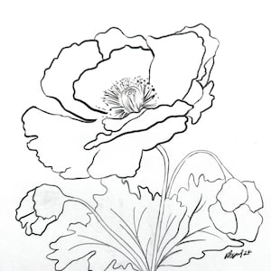 Poppy Line Drawing - Etsy Canada