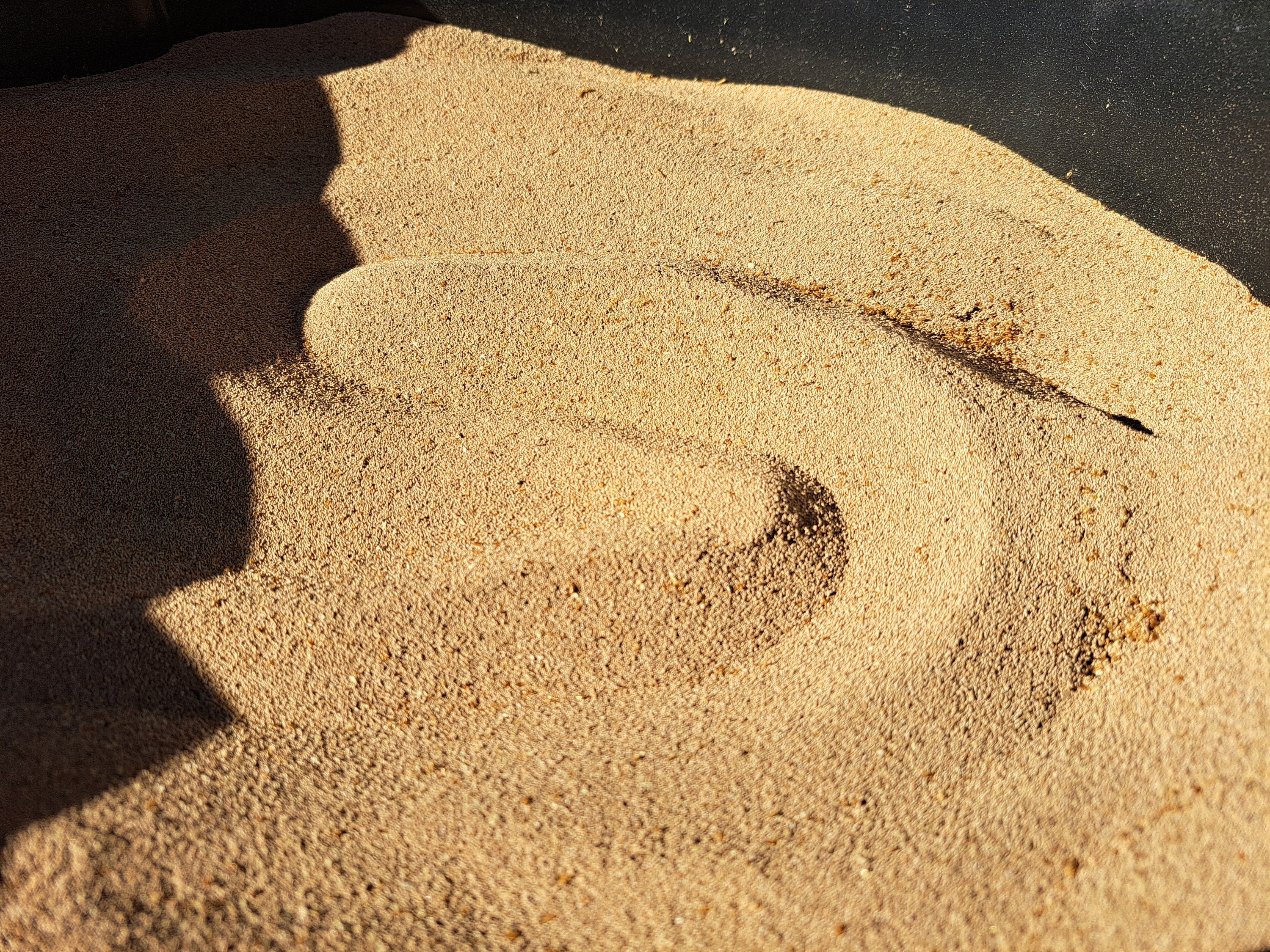 Mealworm Frass - 1 Pound - Etsy