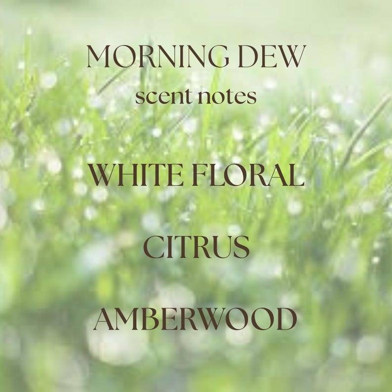 Morning Dew | White Floral, Citrus + Amberwood Scented Soy Wax Candle ...